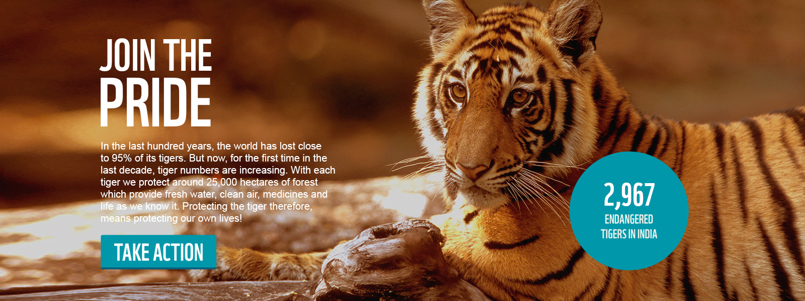 Save the Tiger | Join WWF-India | Save tiger