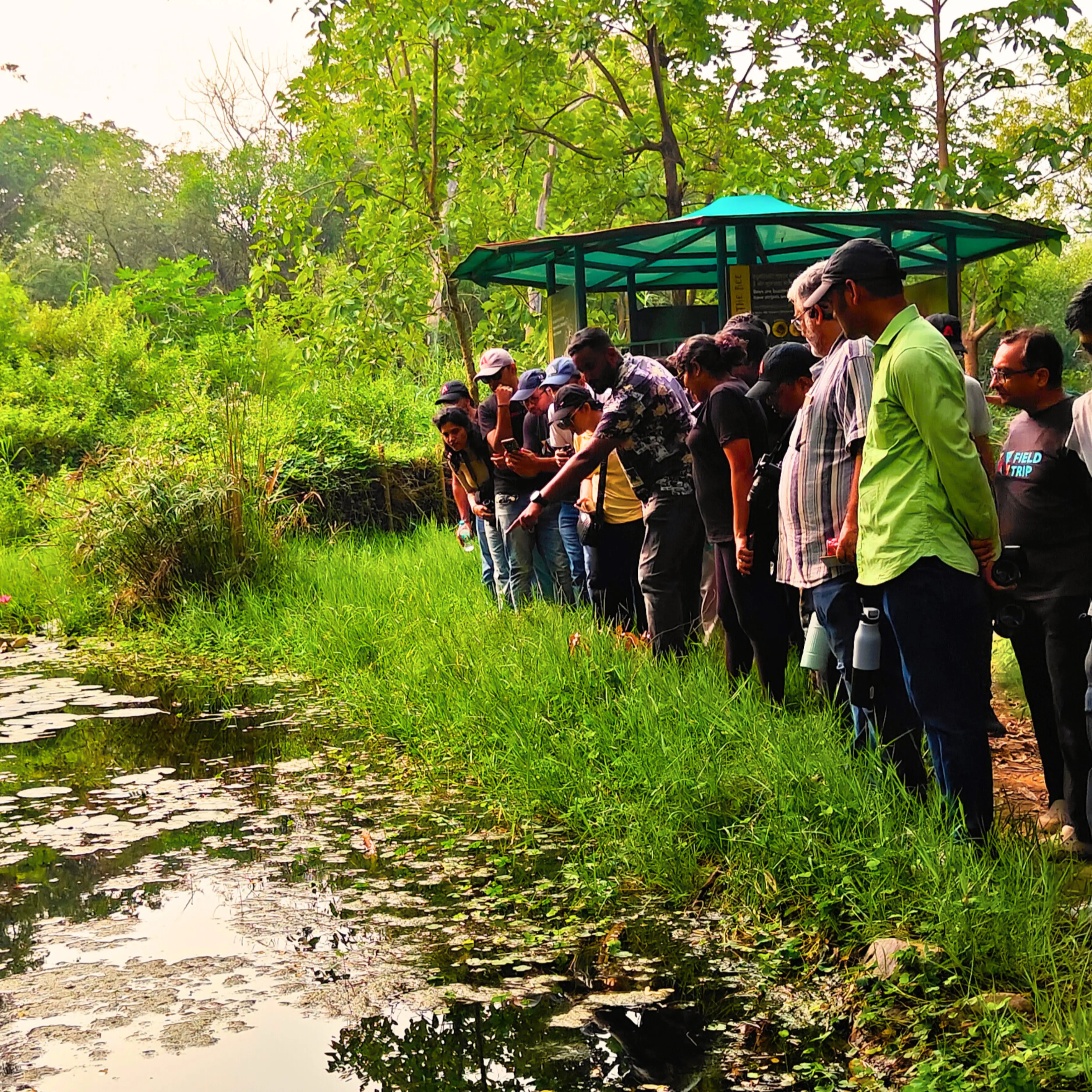 Workplace Giving Program | WWF India