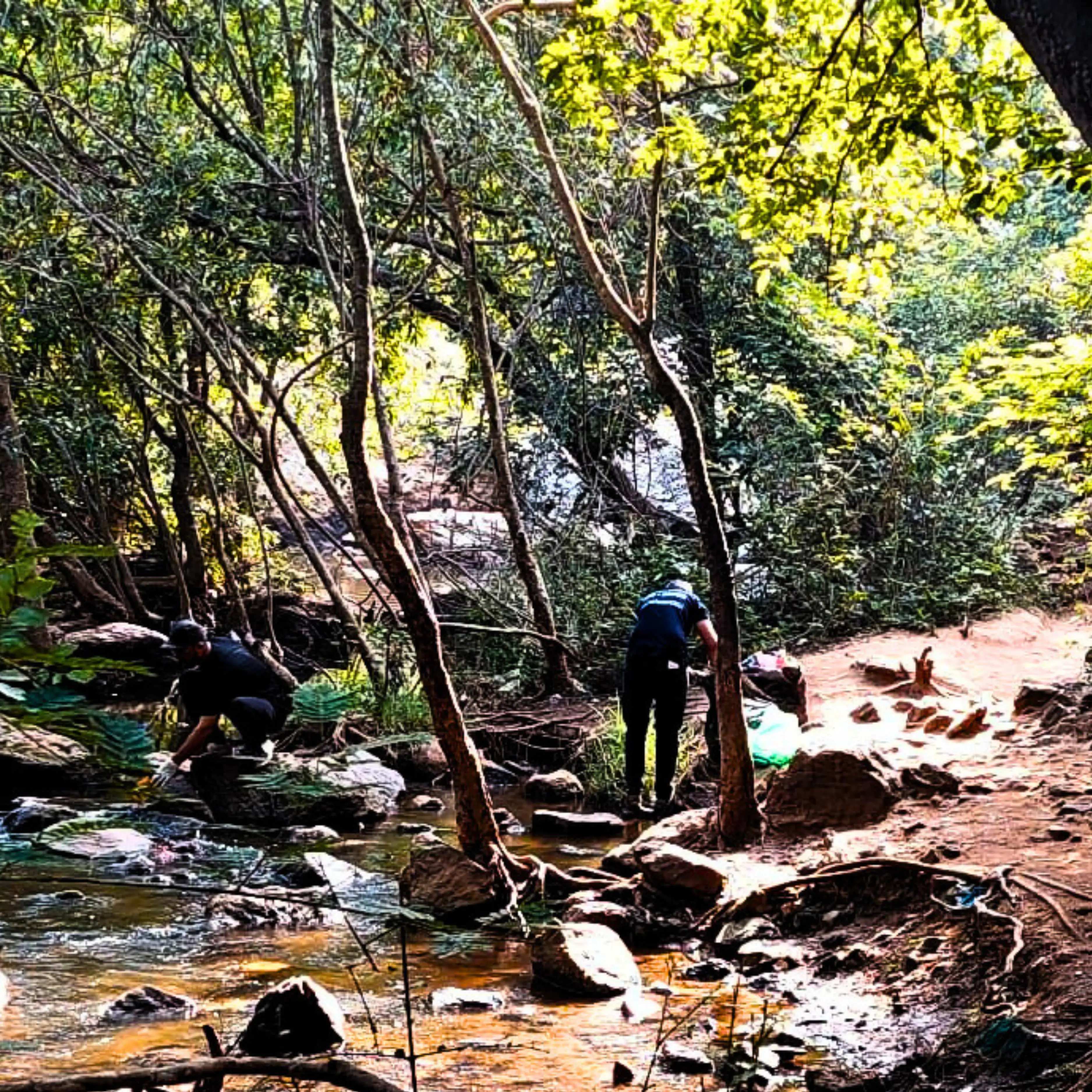 Workplace Giving Program | WWF India