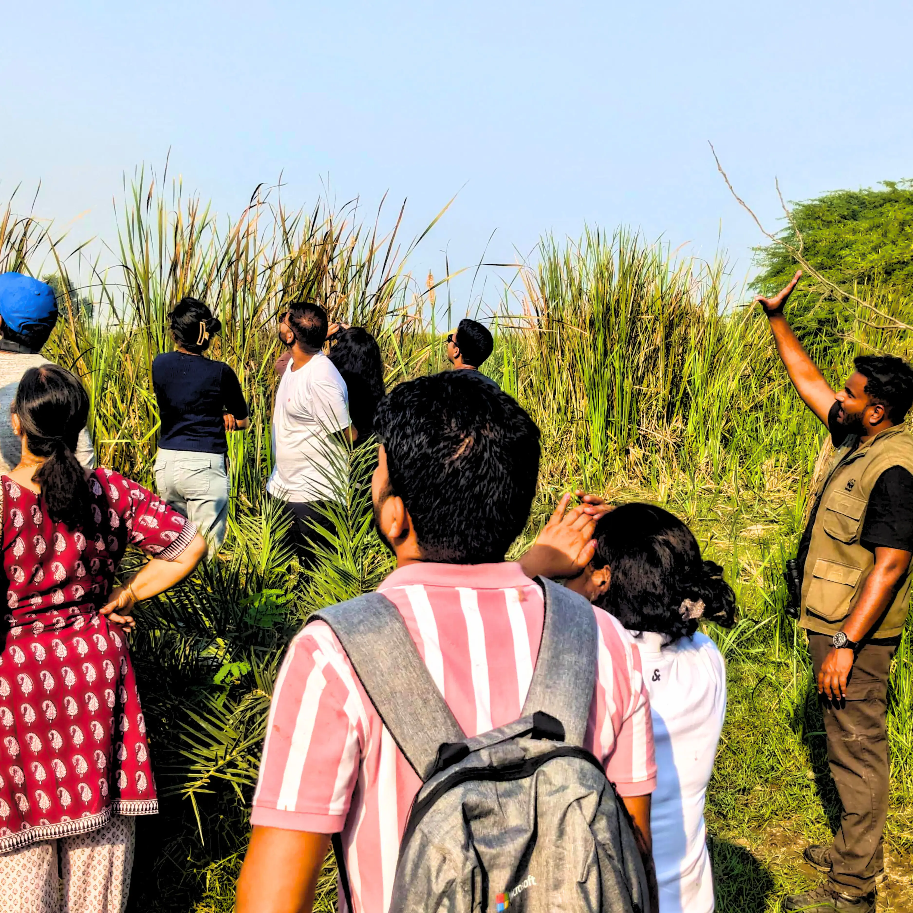 Workplace Giving Program | WWF India